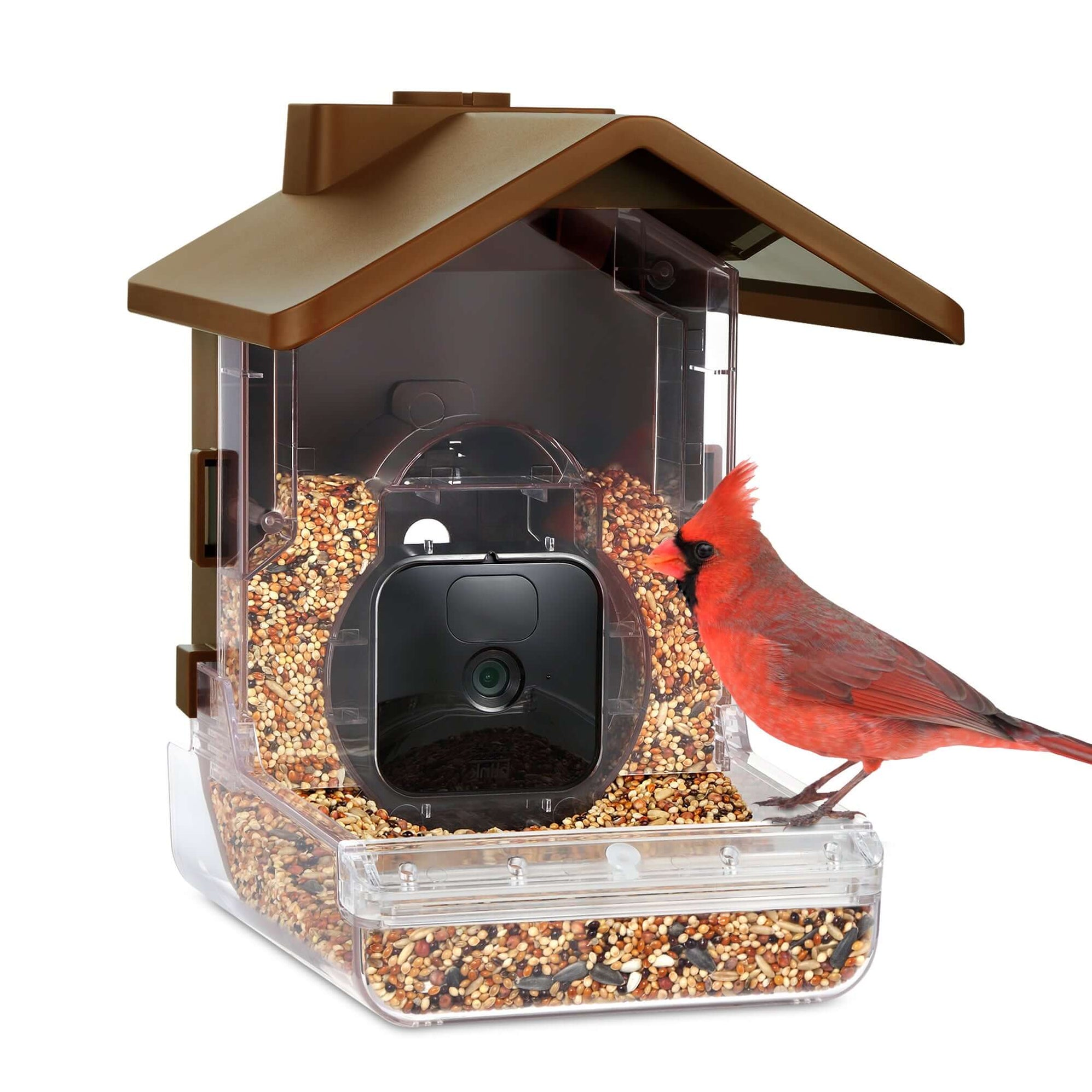 Bird Feeder Camera Case for Ring, Blink, and Wyze Cam | Wasserstein — Wasserstein Home